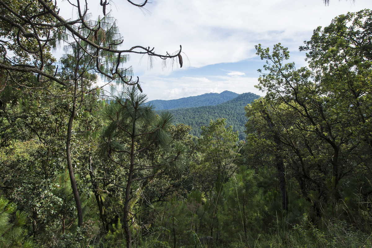 Casas nuevas en Tapalpa - Sierra mazati