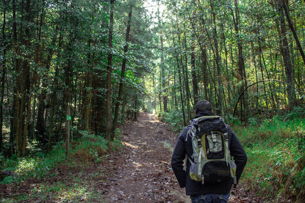 Casas nuevas en Tapalpa - Sierra mazati